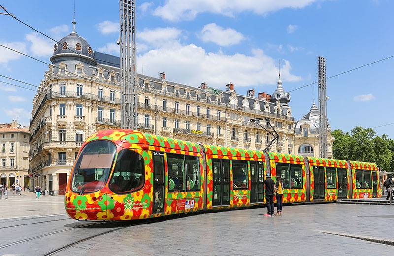 Les modes de transport en commun urbains